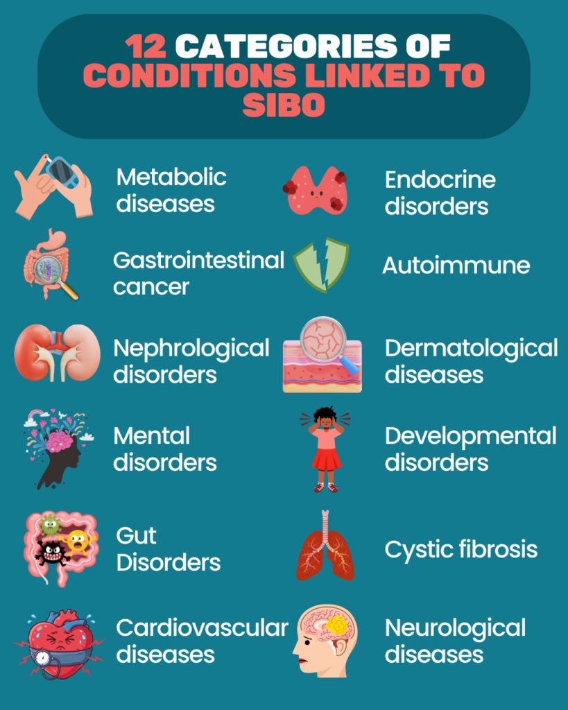 SIBO and 12 groups of related diseases - Healthpath